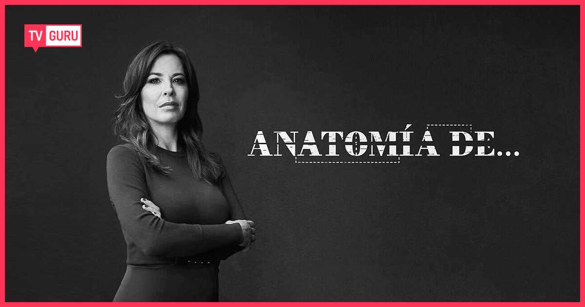 Anatomía De Tv Serie Tv Guru