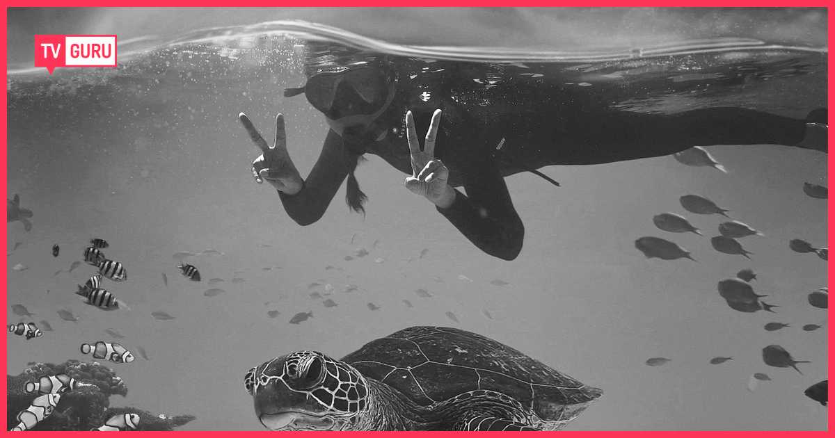 Beyond the Reef | TV.GURU