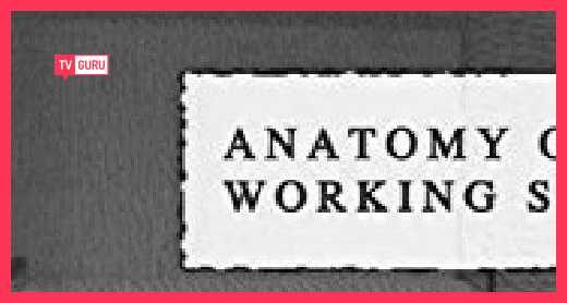 Anatomy of a Working Stiff | TV.GURU