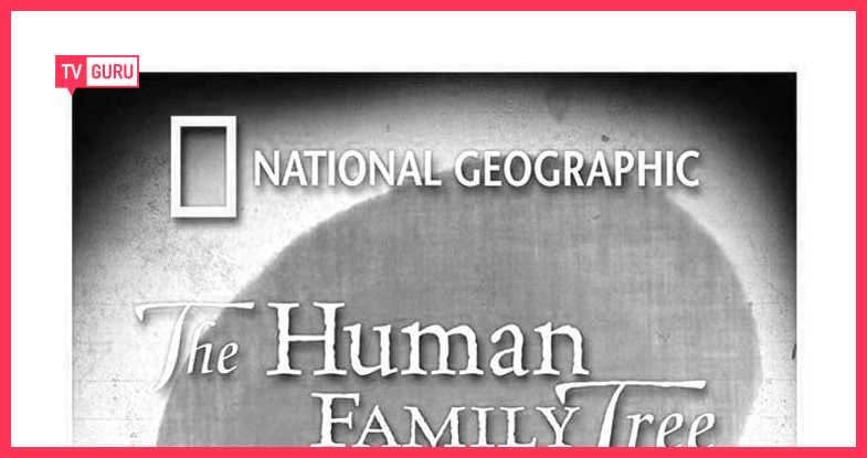 The Human Family Tree | TV.GURU