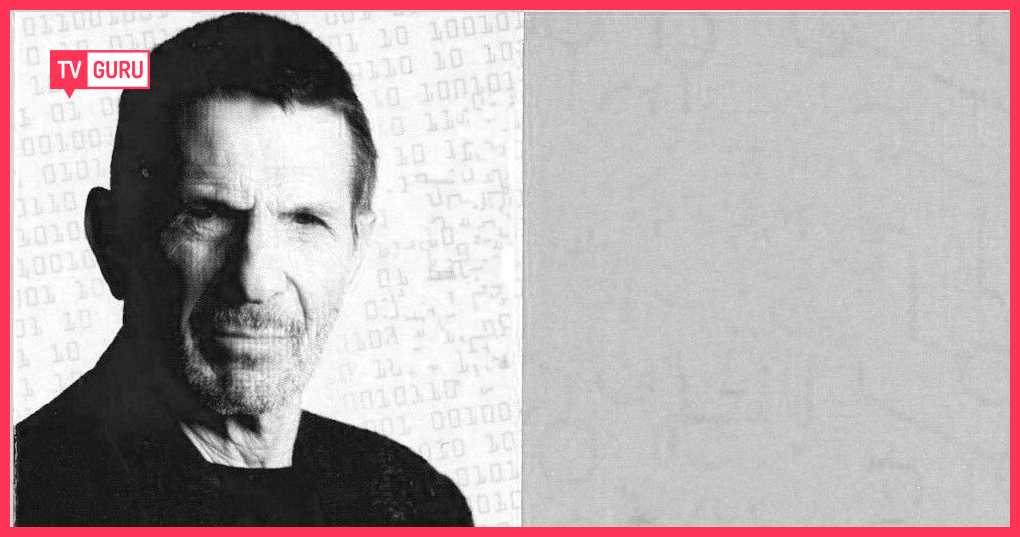 Y2K Family Survival Guide | TV.GURU