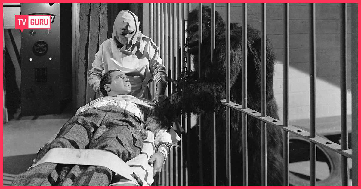 The Strange Case of Doctor Rx | TV.GURU