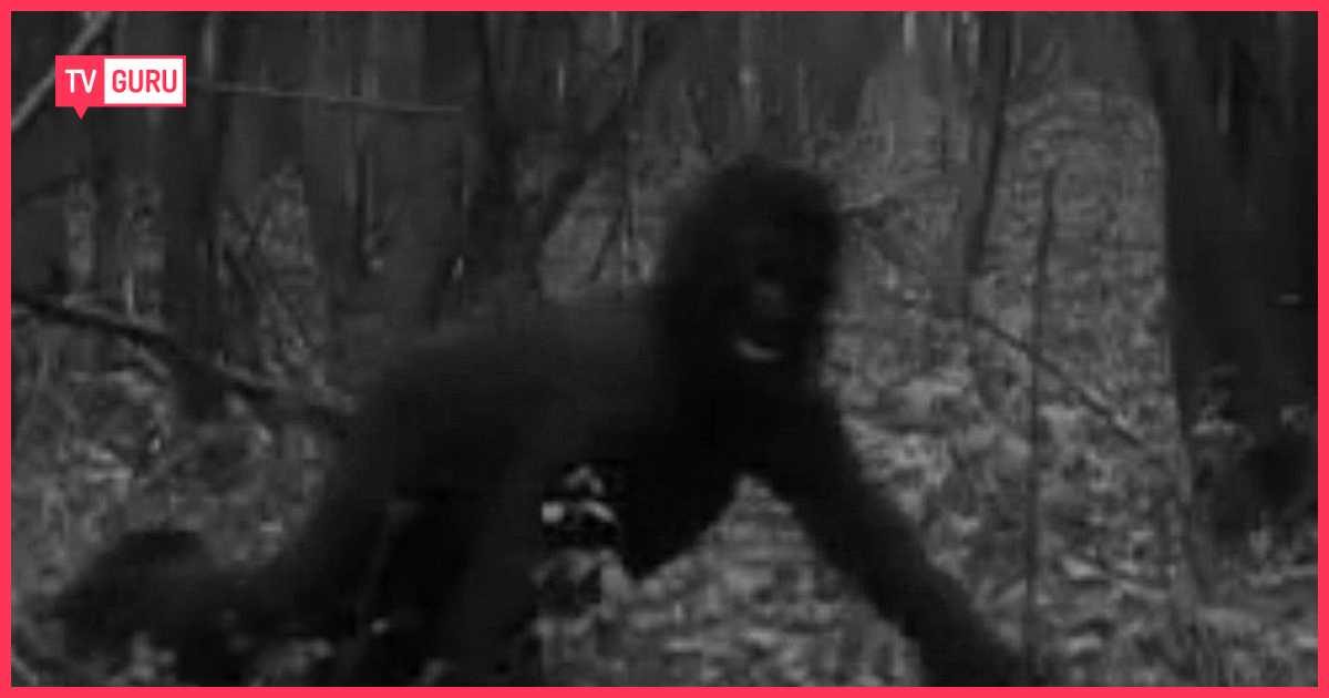 Catherine McQueen - Alle Filme & TV-Shows | TV.GURU