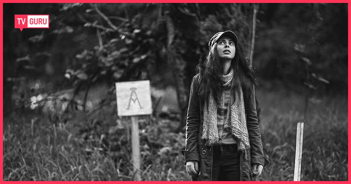 The Shasta Triangle | TV.GURU