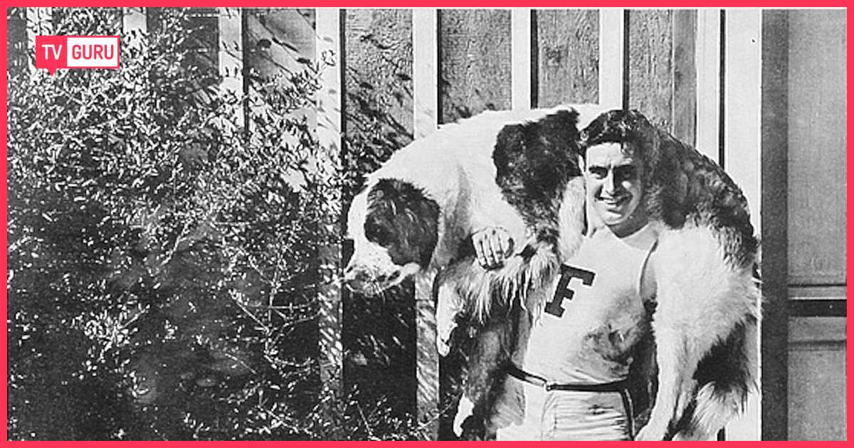 Alan Edwards - Alle Filme & TV-Shows | TV.GURU