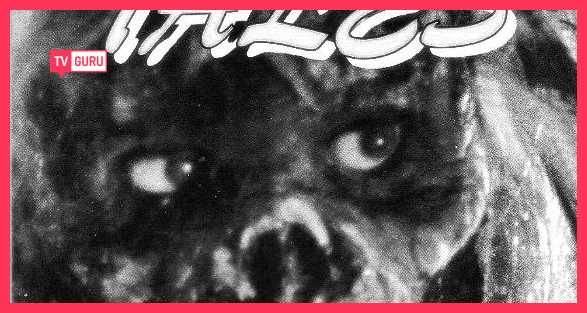 Terrifying Tales | TV.GURU