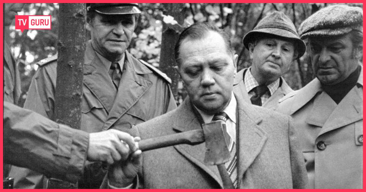 Alexandra Gasnárková - Alle Filme & TV-Shows | TV.GURU