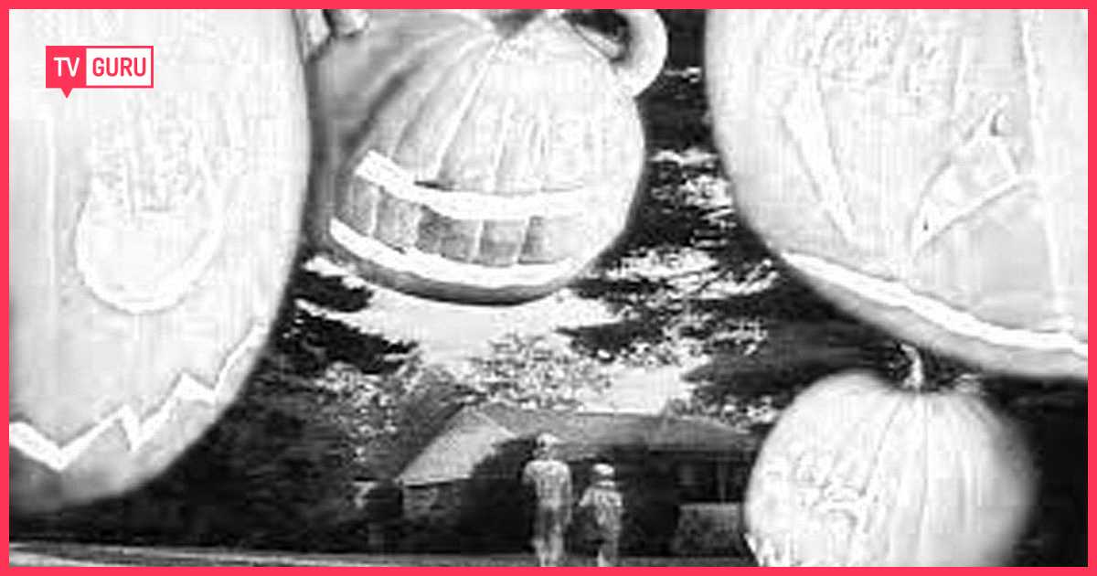 Larc Spies - Alle Filme & TV-Shows | TV.GURU