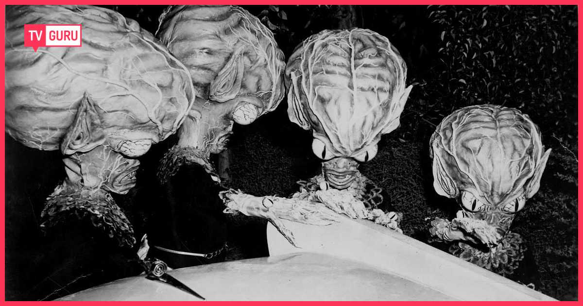 Audrey Conti - Alle Filme & TV-Shows | TV.GURU