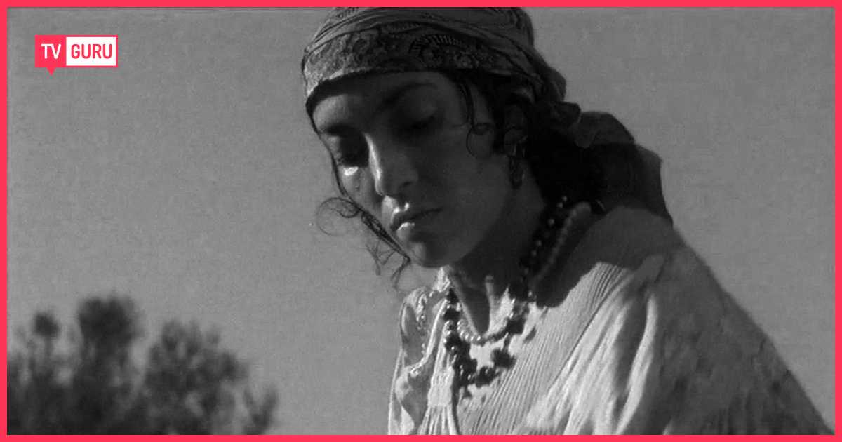 Fatima, l'Algérienne de Dakar | TV.GURU