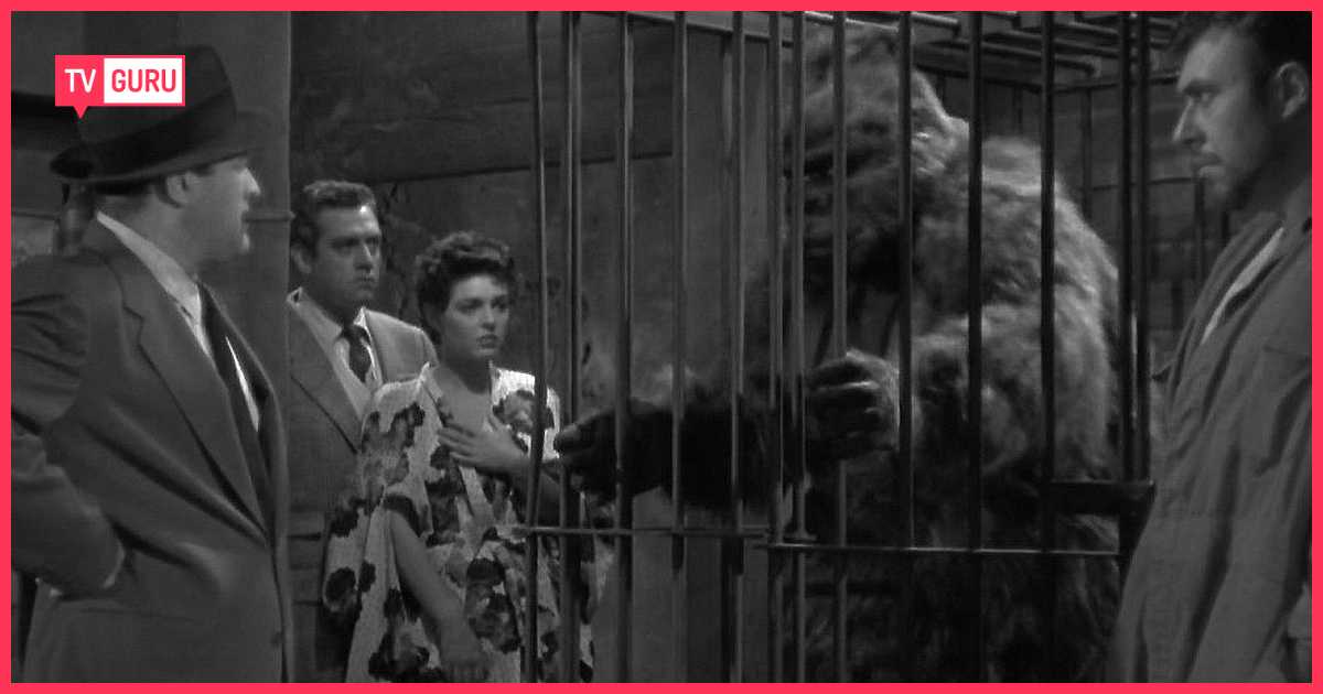 Der Würger von Coney Island | TV.GURU