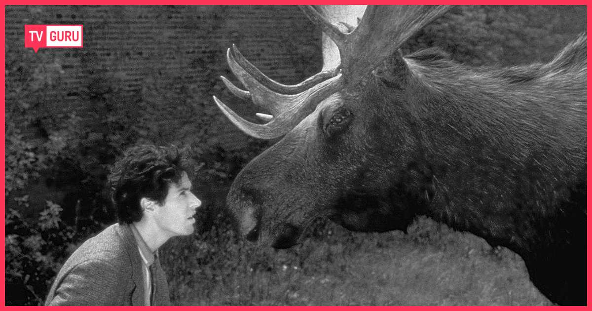 Ausgerechnet Alaska - TV-Serie | TV.GURU