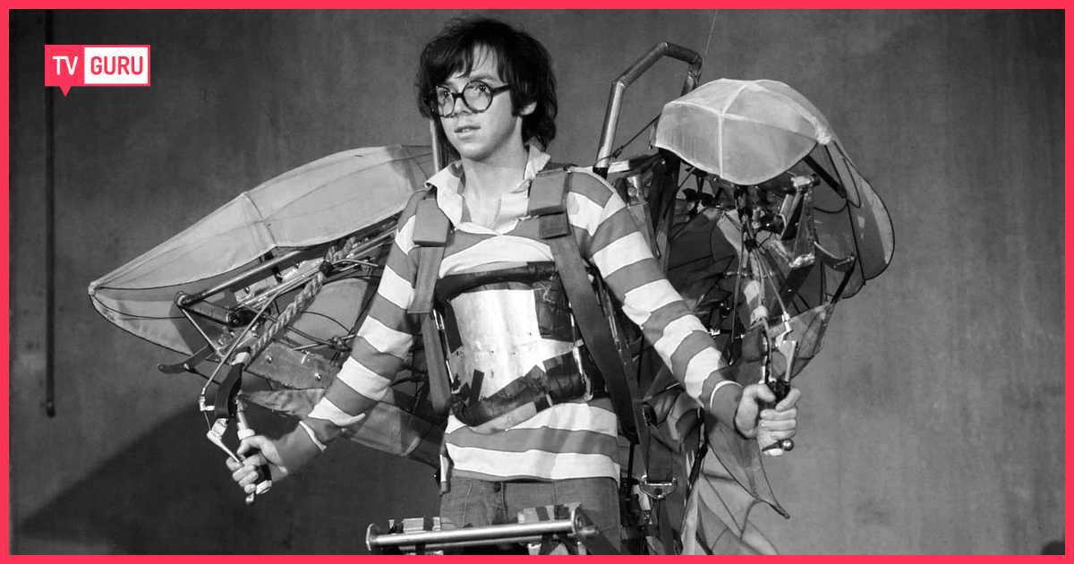 Auch Vögel können töten | TV.GURU