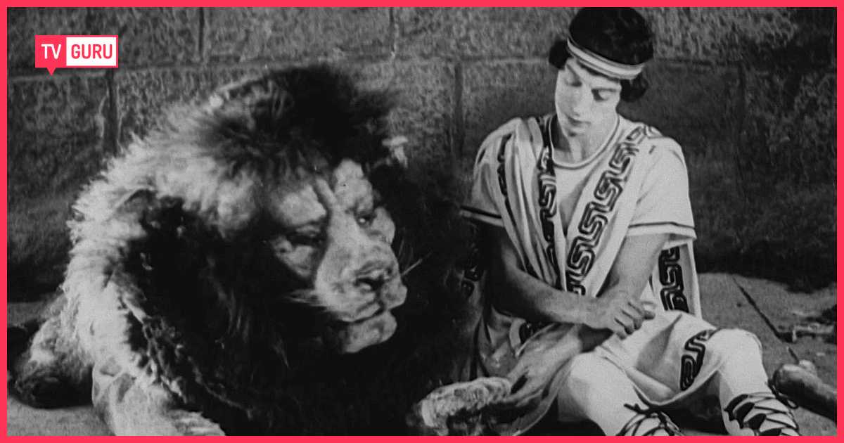 Kewpie Morgan - Alle Filme & TV-Shows | TV.GURU