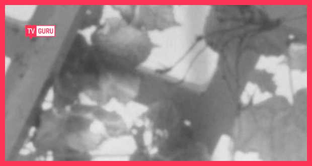 Return to Forms | TV.GURU