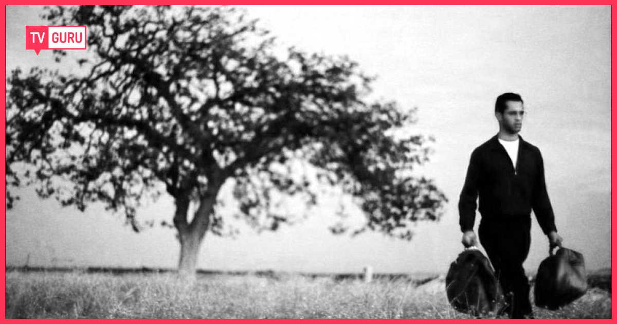 Larry Maxwell - Alle Filme & TV-Shows | TV.GURU