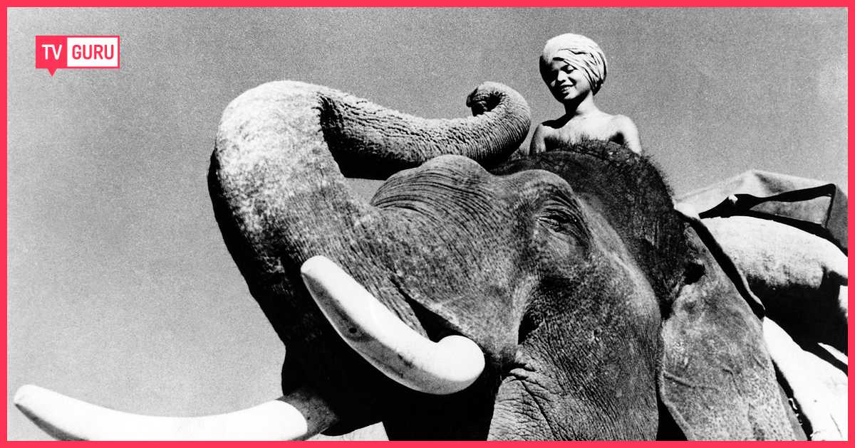 Harry Lane - Alle Filme & TV-Shows | TV.GURU