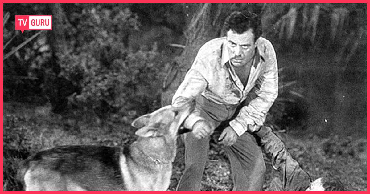 Jungle Terror | TV.GURU