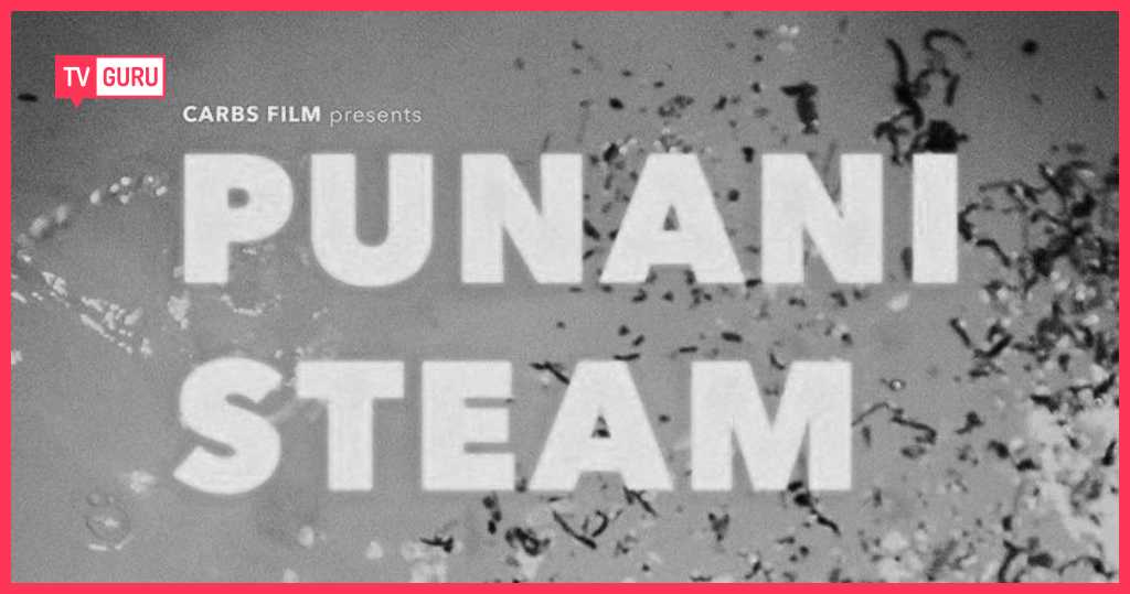 Punani Steam | TV.GURU