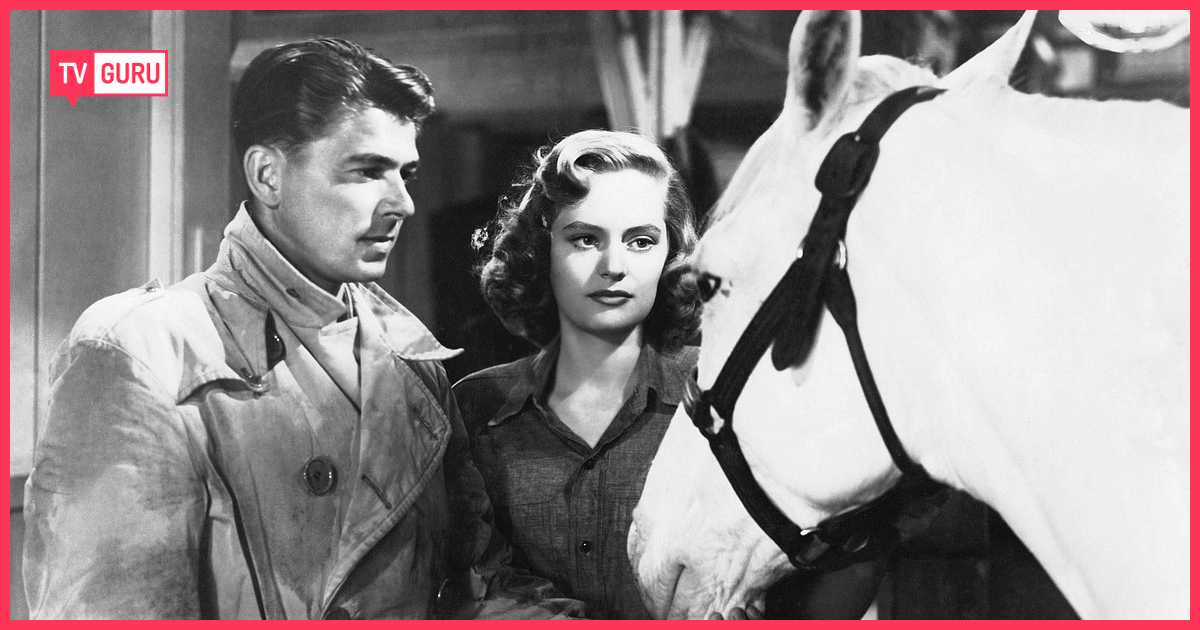 Stallion Road | TV.GURU