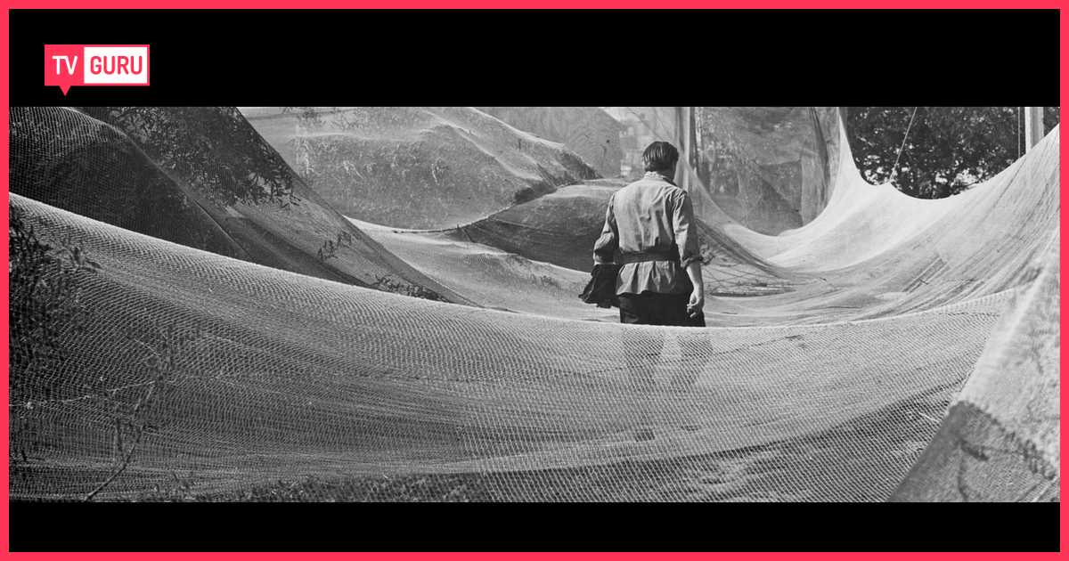 Povilas Gaidis - Alle Filme & TV-Shows | TV.GURU