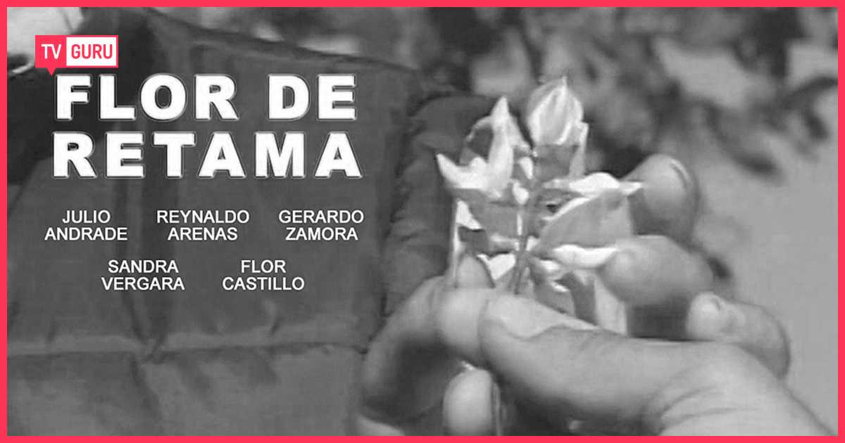 Flor Castillo - Alle Filme & TV-Shows | TV.GURU