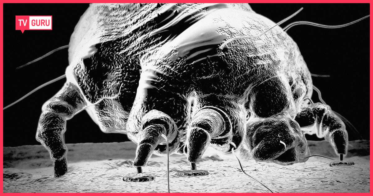 Der Feind in meinem Körper - Snull E01 - Folge 1 | TV.GURU