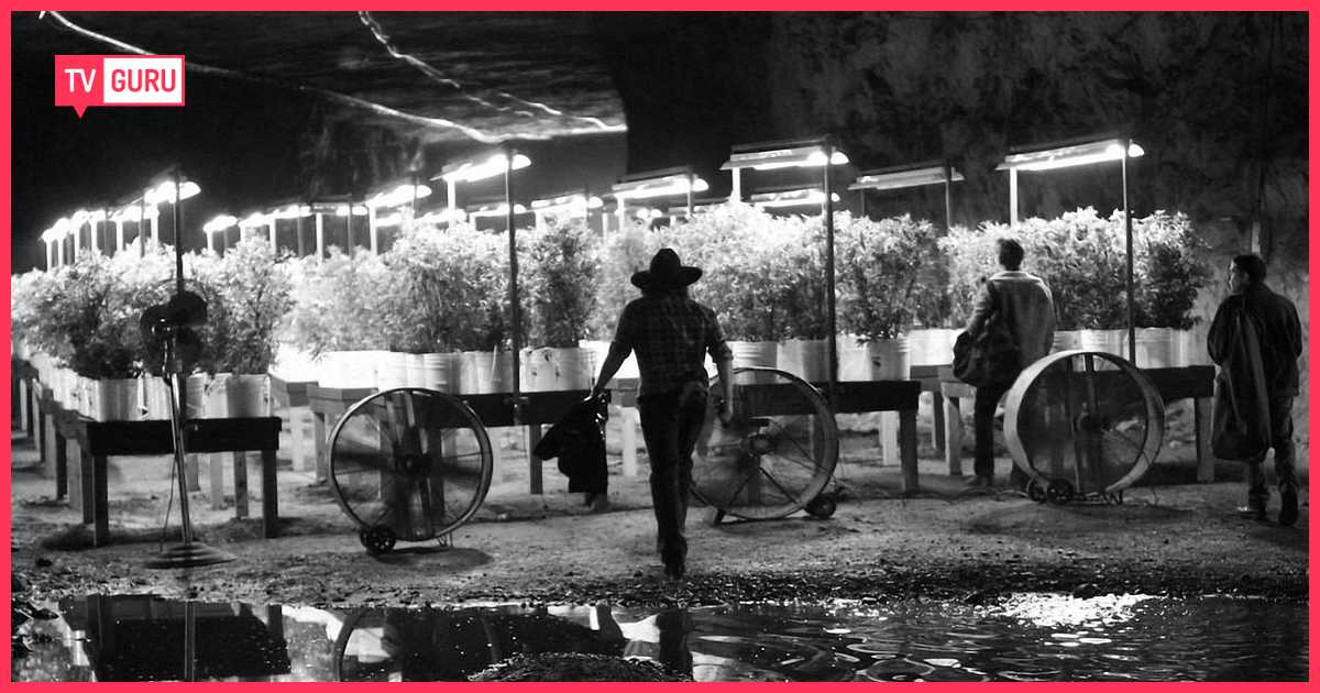 Outlaw Country - Alle Filme & TV-Serien | TV.GURU