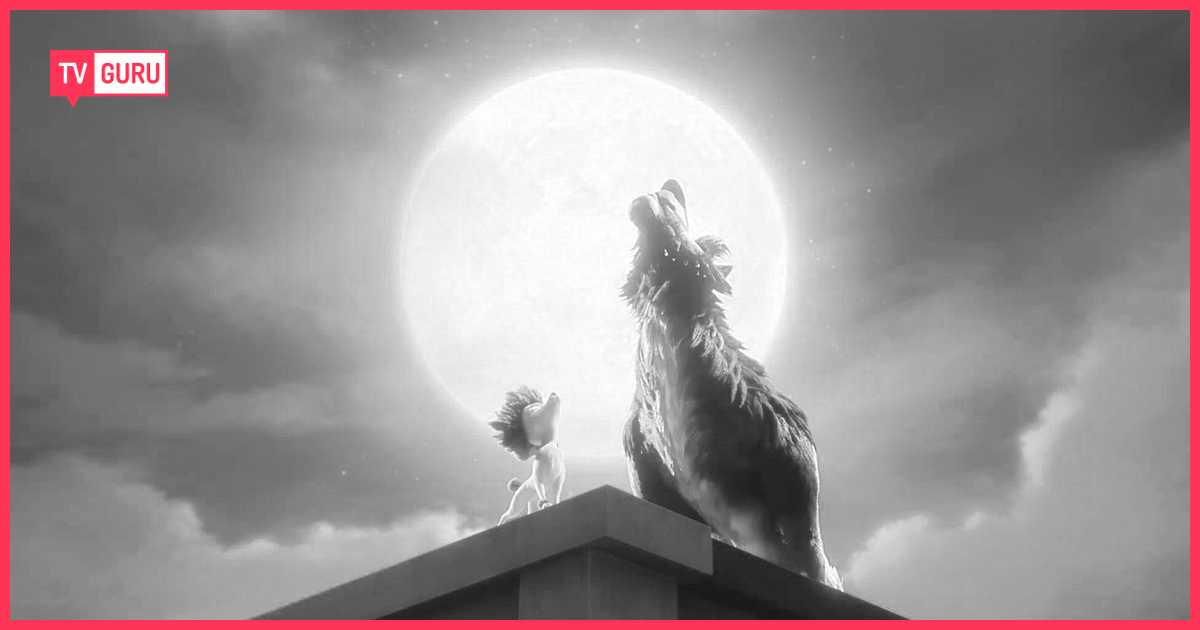 100% Wolf - Alle Filme | TV.GURU