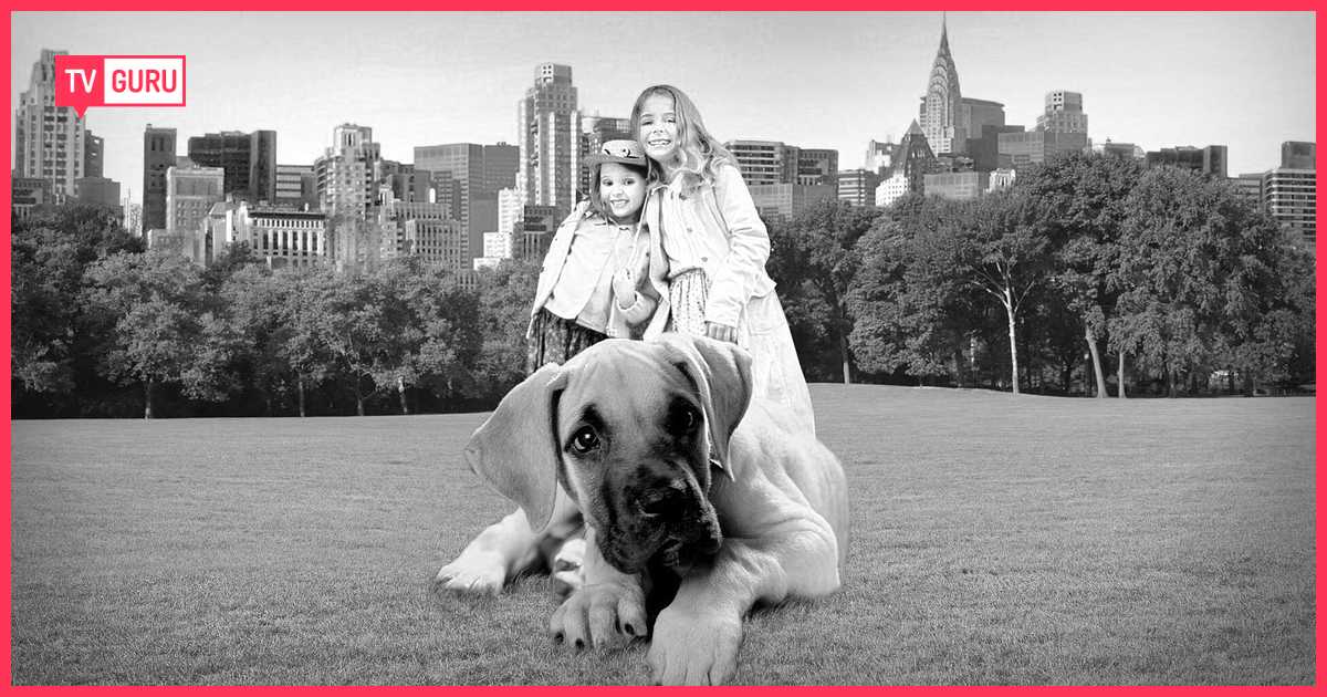 Talia Ranger - Alle Filme & TV-Shows | TV.GURU